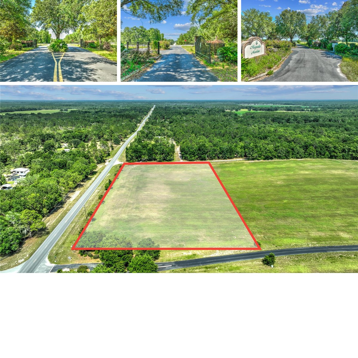 3954 NW 31st Ave, Bell, FL 32619