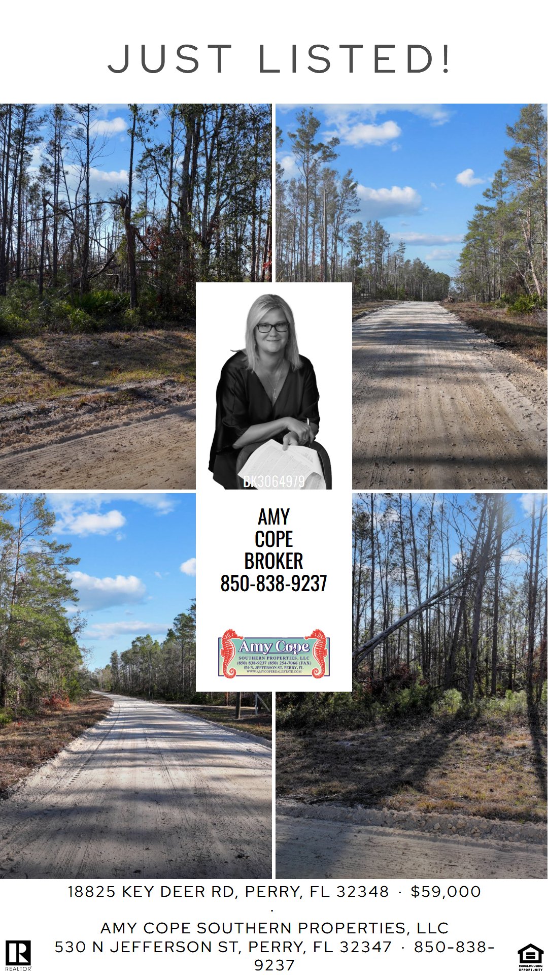 18825 Key Deer Rd, Perry, FL 32348